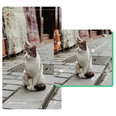 AI Watermark Remover - Clean Your Images in Seconds