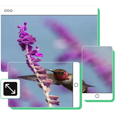 Resize Multiple Photos Instantly