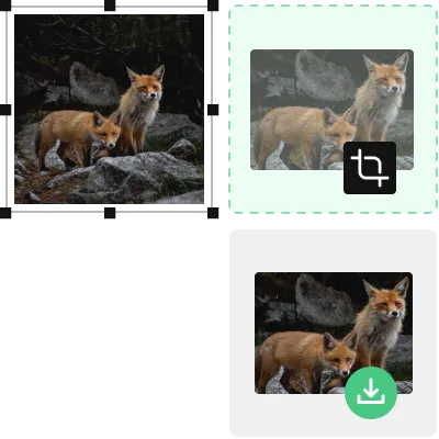 Perfect Crops in Just Seconds